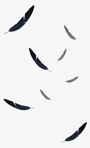 Falling Feathers PNG, Transparent Falling Feathers PNG Image Free ...