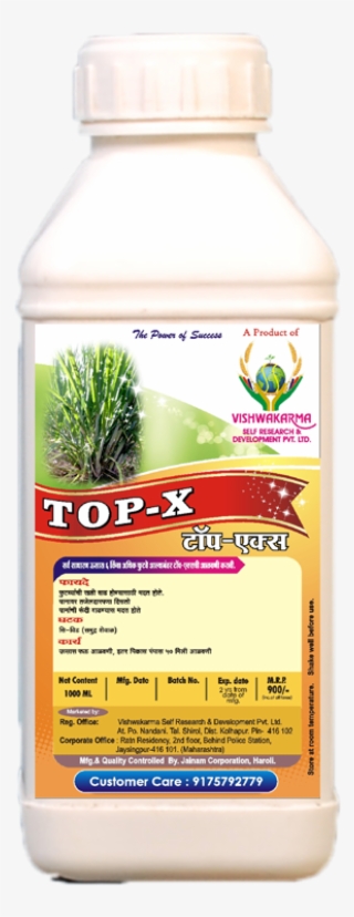 Blue Bottle Fly Top - Free Transparent PNG Download - PNGkey