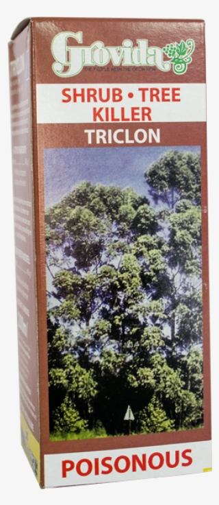 Grovida Triclon Shrub - Shortstraw Pine - Free Transparent PNG Download ...