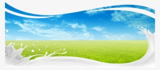 Banner Image Of Indian Lassi Png - Free Transparent PNG Download - PNGkey