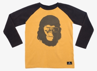 Mlg Planet Of The Apes - Planet Of Apes Meme - Free Transparent PNG ...