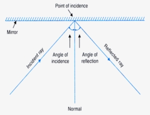 Reflection In A Plane Mirror - Diagram - Free Transparent PNG Download ...
