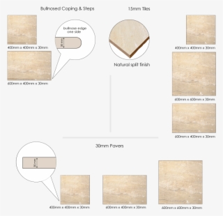 Available Sizes - Circle - Free Transparent PNG Download - PNGkey