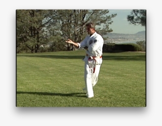 Complete Okinawa Isshin Ryu Karate Vol 3 By Kim Murray - Wushu - Free ...