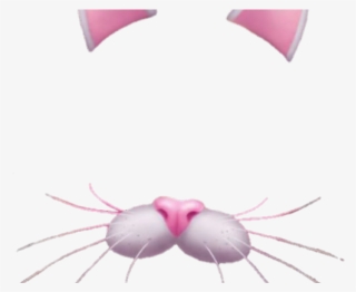 Snapchat Cat Filter Catfilter - Snapchat Filter Cat Ears - Free ...