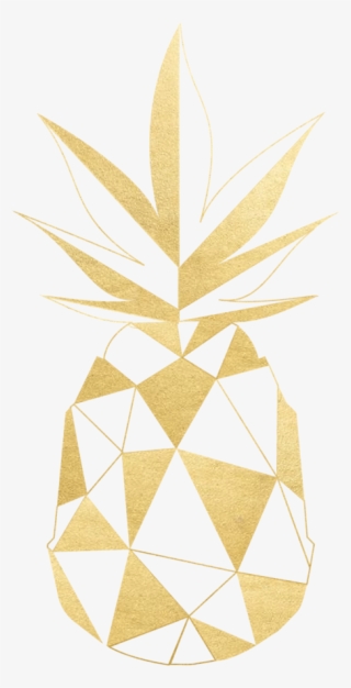 Pineapple, Overlay, And Transparent Image - Illustration - Free ...