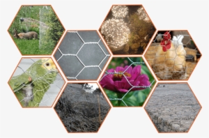 Chicken Wire - Chicken Wire Mesh Png - Free Transparent PNG Download ...